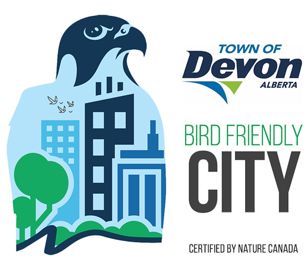 Town of Devon | Birding in Devon and Vicinity