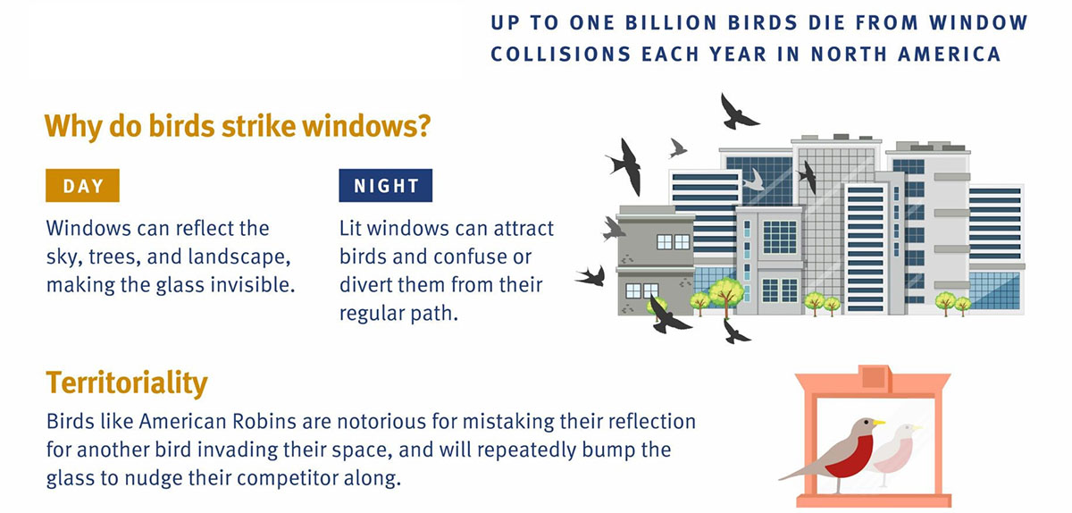 Town of Devon | Threat Reduction